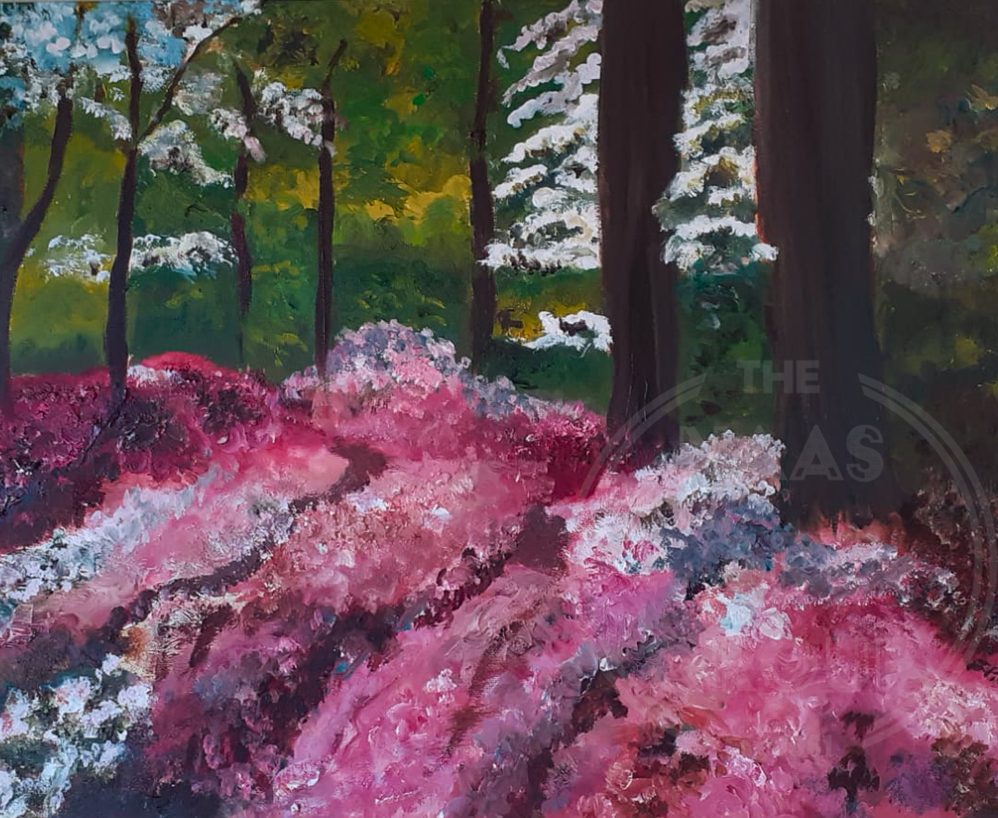 Frances Graham – The Naas Art Group